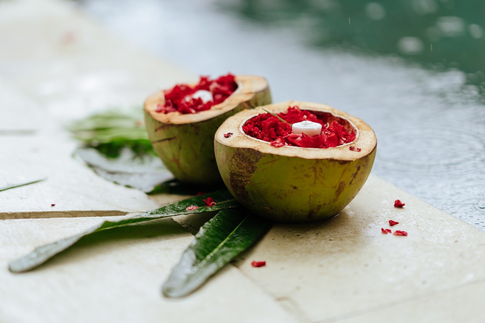 Rose Coconut Oud Fragrance Oil – Floral, Coconut & Exotic Woods | Axure ...